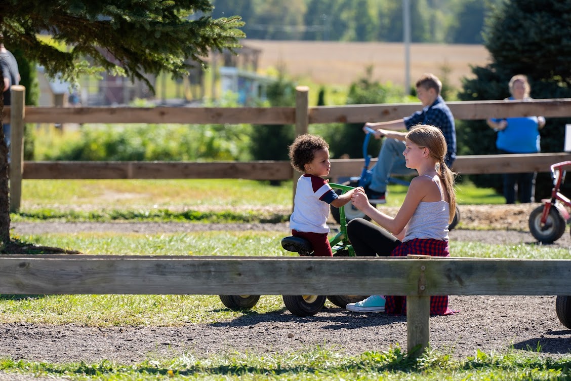 Attractions For Every Age | Port Farms